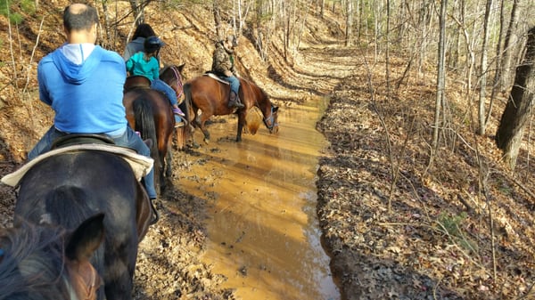 A STEP ABOVE STABLES - Updated January 2025 - 28 Photos & 33 Reviews ...