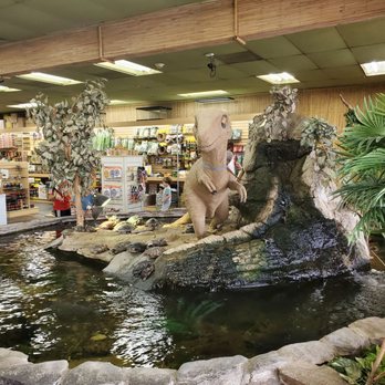 THE REPTILE ZOO - Updated June 2024 - 1216 Photos & 411 Reviews - 18822 ...