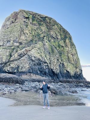 HAYSTACK ROCK - Updated July 2025 - 824 Photos & 240 Reviews - Hwy 101 ...