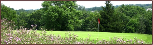 WILLOW WOODS GOLF CLUB - Updated July 2025 - 2600 Lewis Seifert Rd ...