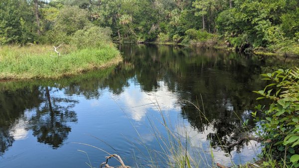 LITTLE BIG ECON STATE FOREST - Updated May 2024 - 168 Photos & 25 Reviews - 1350 Snow Hill Rd ...