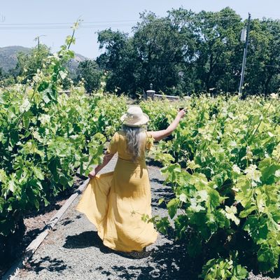 WELLINGTON CELLARS - 43 Photos & 36 Reviews - Wineries - 11600 Dunbar ...