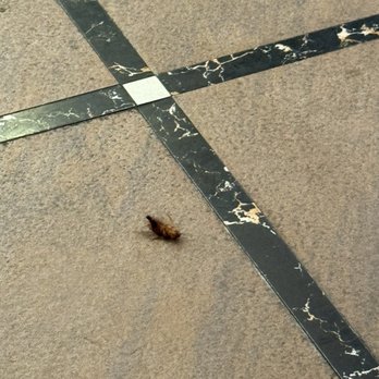 KAMI BUFFET & GRILL - Updated August 2024 - 1802 Photos & 985 Reviews ...