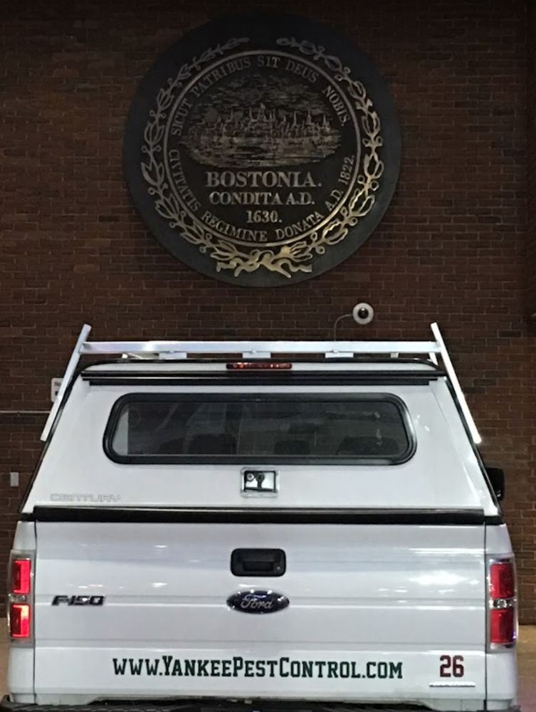 YANKEE PEST CONTROL - Updated August 2025 - 27 Photos & 37 Reviews - 20 ...