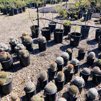 DESERT SURVIVORS - Updated September 2025 - 32 Photos & 29 Reviews ...