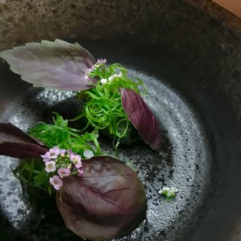 SCHWA - Updated November 2024 - 651 Photos & 597 Reviews - 1466 N ...