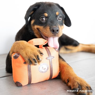 PETLAND WEBSTER - Updated December 2025 - 131 Photos & 82 Reviews ...