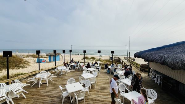 BLUE PARROT OCEAN FRONT CAFE - Updated December 2025 - 428 Photos & 621 ...