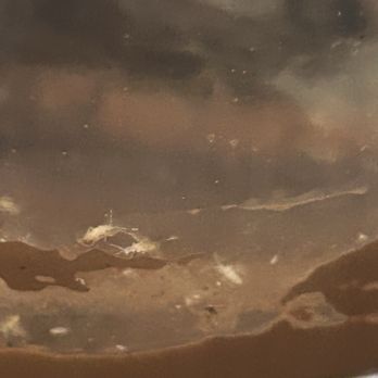 THE BIO DUDE - Updated January 2026 - 75 Photos & 45 Reviews - 15116 ...