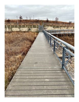 PALMISANO PARK - Updated November 2024 - 166 Photos & 46 Reviews - 2700 ...