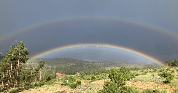 THE SPIRES RANCH - Updated October 2025 - 18277 Co Rd 126, Pine ...