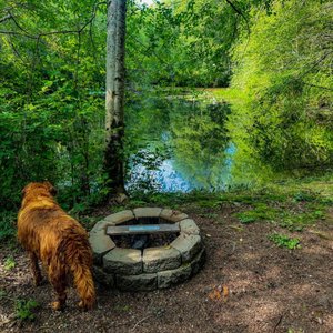 RASPBERRY RIDGE FARM - Updated October 2025 - 20 Photos - 21614 Big ...