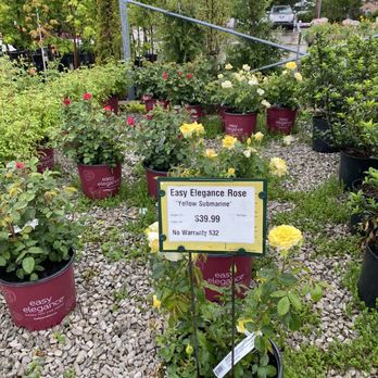 RIGHTWAY GARDEN CENTER - Updated October 2025 - 36 Photos & 12 Reviews ...