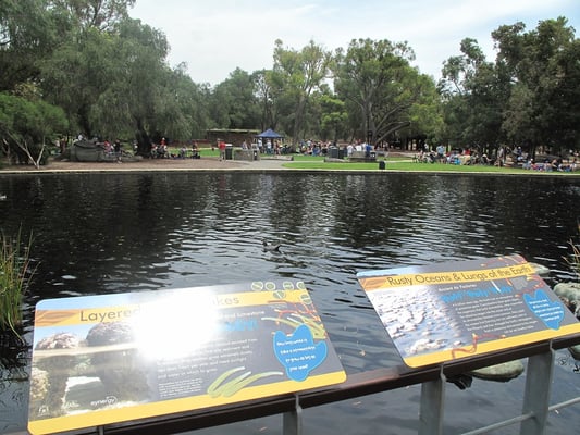 LYCOPOD ISLAND - Updated July 2025 - May Dr, Kings Park Western ...