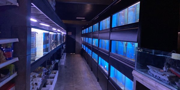 JUNGLE EXOTIC PETS & LIVE BAIT - Updated December 2025 - 21 Photos & 11 ...