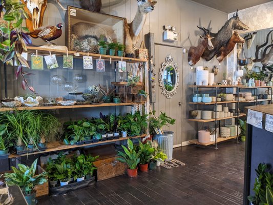 NATURAL SELECTION - Updated December 2025 - 218 Photos & 84 Reviews ...