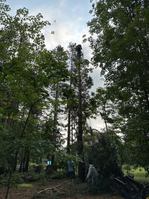 TURBO TREE CARE - Updated July 2025 - 15 Photos - 6161 Cotter Ave ...