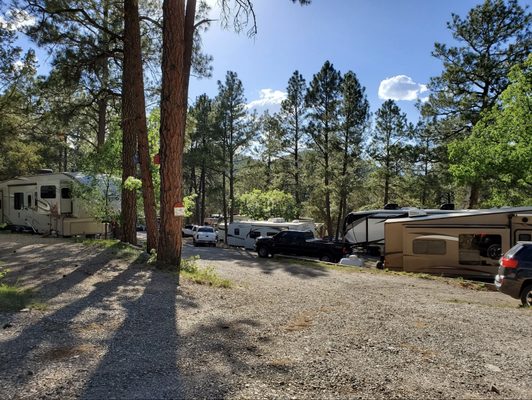 PINE RIDGE RV PARK - Updated August 2025 - 17 Photos - 124 Glade Dr ...
