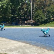 ATLANTIS PLAY CENTER - 186 Photos & 122 Reviews - 13630 Atlantis Way ...