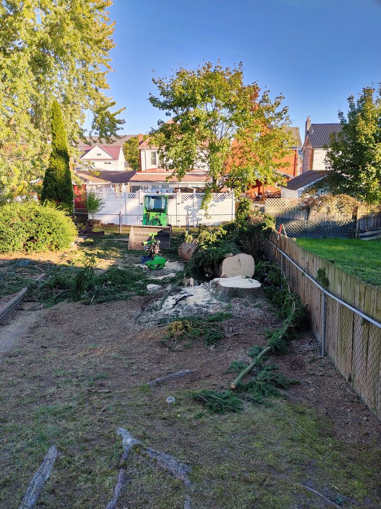 LOFTY HEIGHTS TREE CARE - Updated December 2025 - 27 Photos - 345 ...