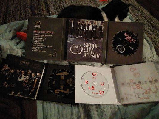 VIOLET KPOP - 16 Photos & 18 Reviews - 1658 Willowbrook Mall, Houston ...