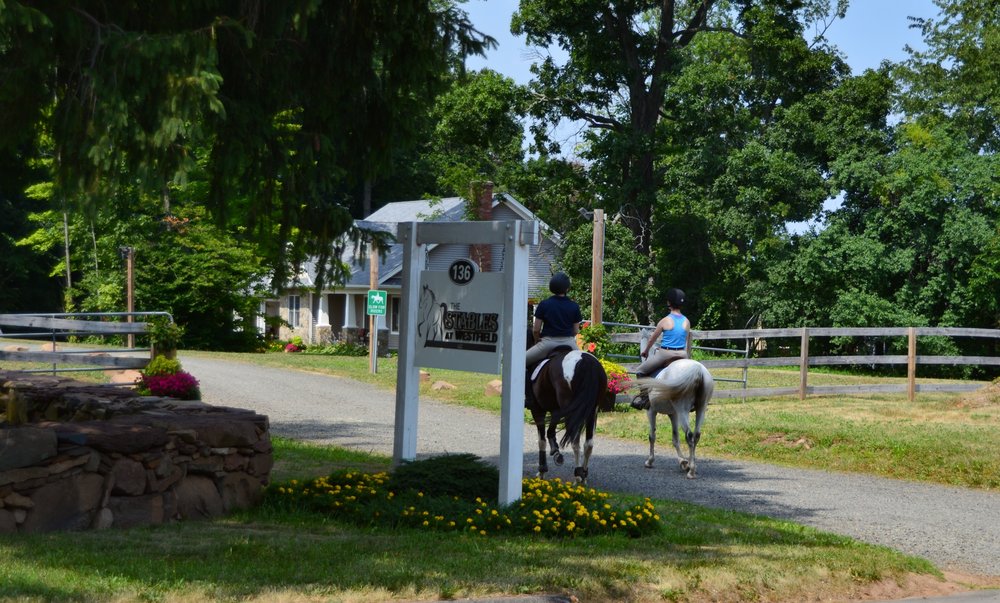 STABLES AT WESTFIELD - Updated July 2025 - 136 Bradley St, Middletown ...