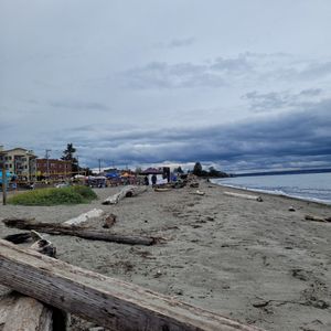 ALKI BEACH PARK - 1264 Photos & 369 Reviews - 2665 Alki Ave SW, Seattle ...