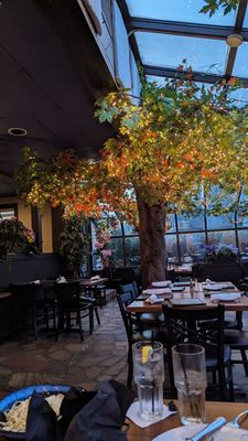 STELLA NOTTE - Updated December 2025 - 203 Photos & 201 Reviews - 8809 ...