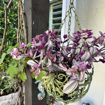 CONSIGNMENT CLASSICS - Updated January 2026 - 476 Photos & 115 Reviews ...