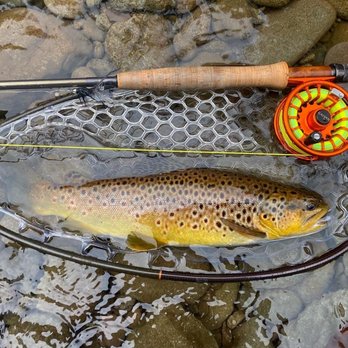 BEAVERKILL ANGLER - Updated August 2025 - 14 Photos & 16 Reviews - 52 ...