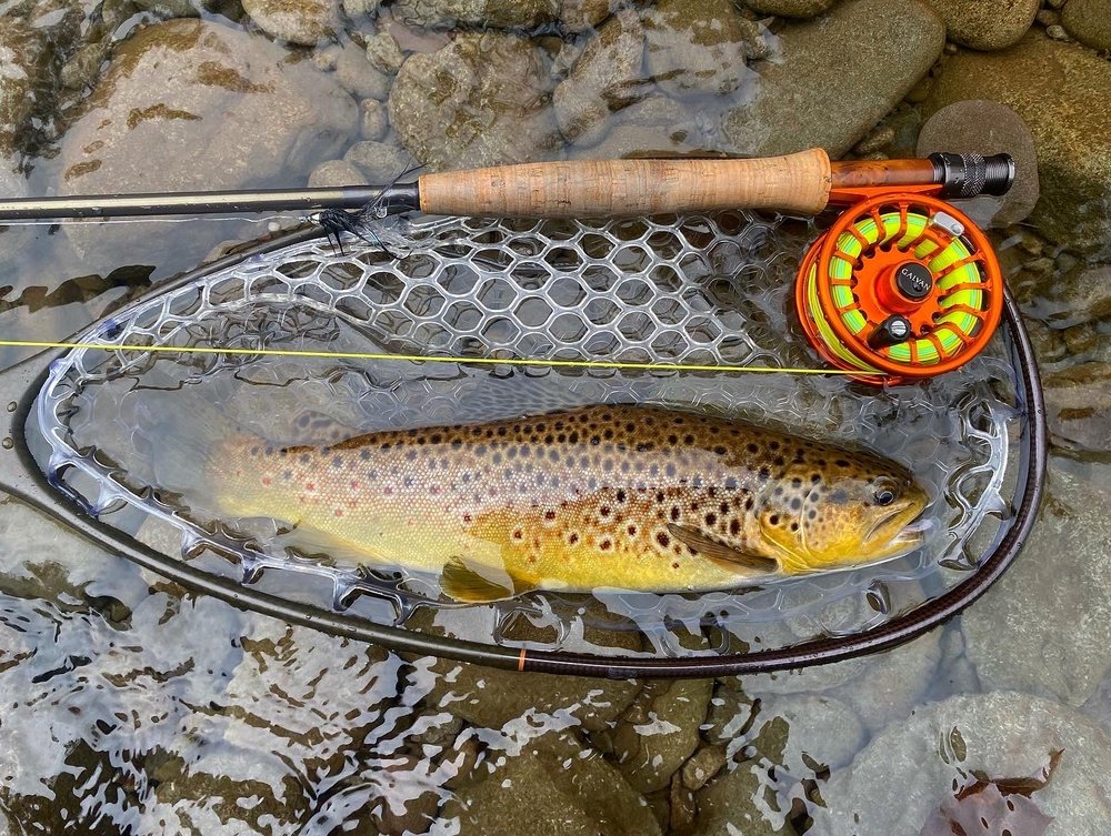 BEAVERKILL ANGLER - Updated August 2025 - 14 Photos & 16 Reviews - 52 ...