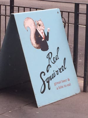 RED SQUIRREL - Updated August 2024 - 85 Photos & 91 Reviews - 21 ...