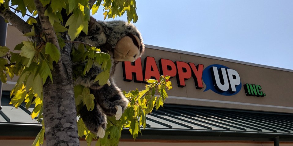 HAPPY UP INC. - EDWARDSVILLE - Updated January 2025 - 14 Photos & 10 ...