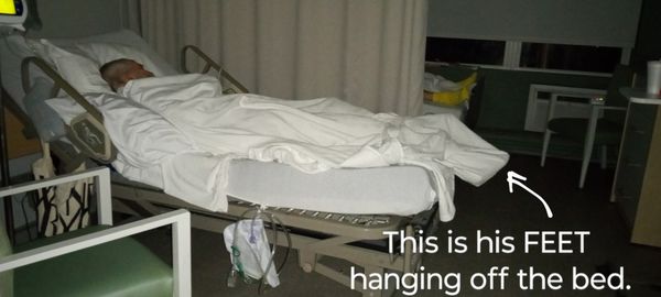 SPRINGFIELD REHABILITATION & HEALTHCARE CENTER - Updated December 2025 ...