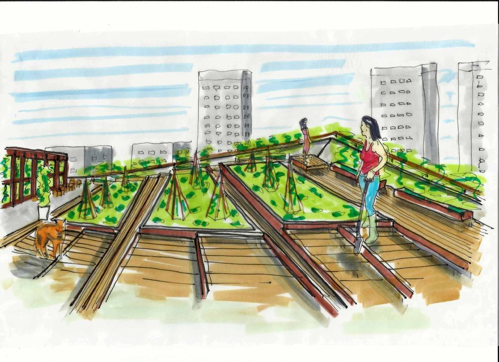 CRAIG SOUTAR ARCHITECTURE - Updated November 2024 - 29 Westhill Road ...