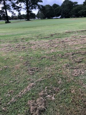 AEROPINES GOLF COURSE - Updated May 2024 - 13 Photos - 1001 G Ave ...
