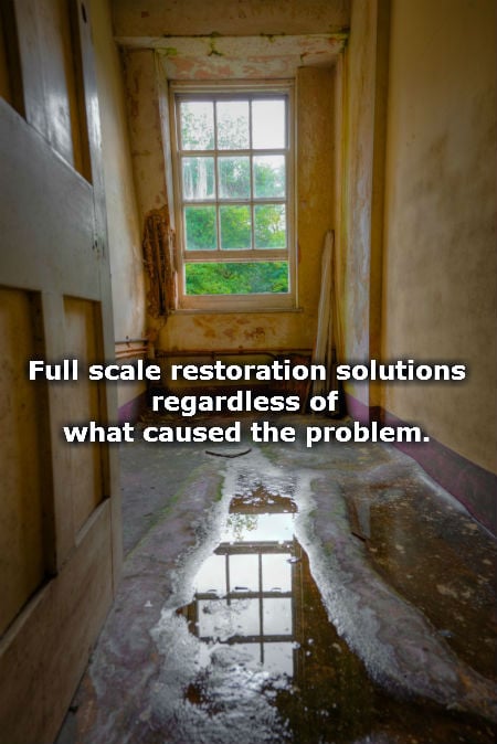 FIRST RESPONSE WATER DAMAGE RESTORATION - Updated October 2025 - 15 ...