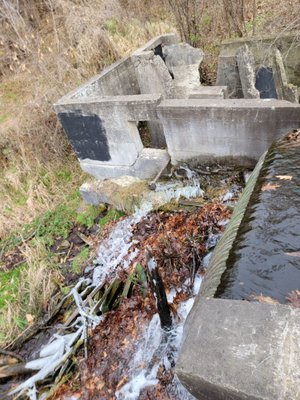 PARADISE SPRINGS NATURE CENTER - Updated October 2025 - 44 Photos ...