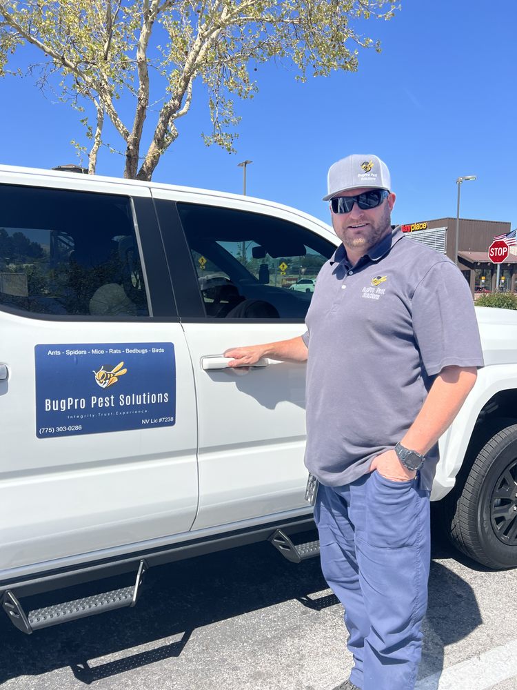 BUGPRO PEST SOLUTIONS - Updated July 2025 - 12 Reviews - Spanish ...