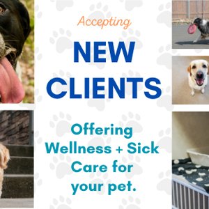 VCA SPRING BRANCH ANIMAL HOSPITAL - Updated November 2024 - 25 Photos ...