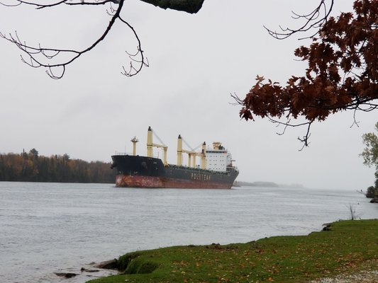 ROTARY ISLAND PARK - 15 Photos - Ferry Dock, Sault Ste. Marie, MI - Yelp