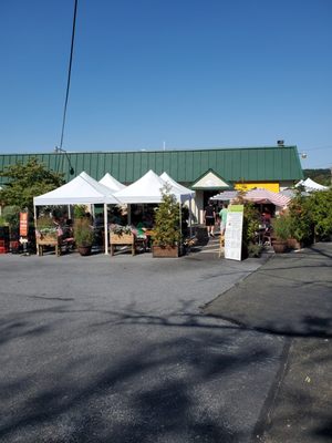 SHORTY’S SUNFLOWER CAFE - Updated August 2024 - 83 Photos & 227 Reviews ...