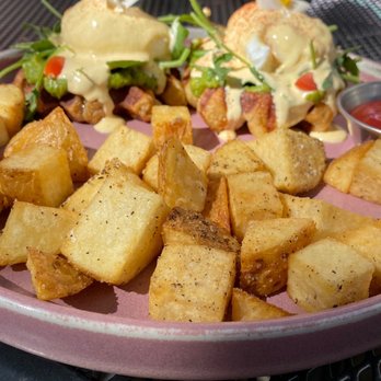 DOSC - Updated January 2026 - 396 Photos & 129 Reviews - 10190 - 104 ...