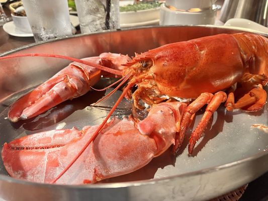 CHAR STEAKHOUSE - Updated November 2025 - 115 Photos & 40 Reviews ...