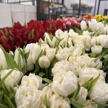 SAN FRANCISCO FLOWER MARKET - Updated June 2025 - 600 Photos & 225 ...