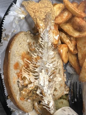 MO FISH - Updated December 2025 - 64 Photos & 62 Reviews - 2403 Nash ...