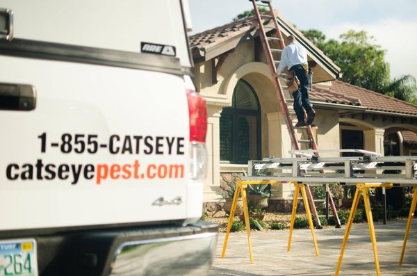 CATSEYE PEST CONTROL - Updated May 2026 - 26 Photos & 39 Reviews - 470 ...