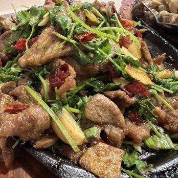 DAN GUI SICHUAN CUISINE - Updated April 2025 - 366 Photos & 154 Reviews ...