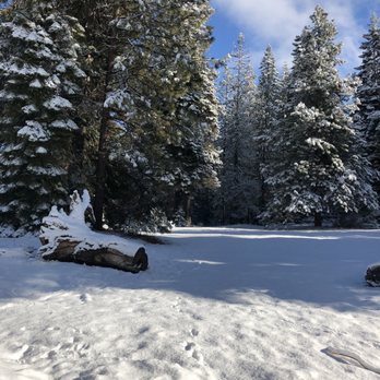 REI - Updated September 2025 - 27 Photos & 31 Reviews - 85 Rossanley Dr ...