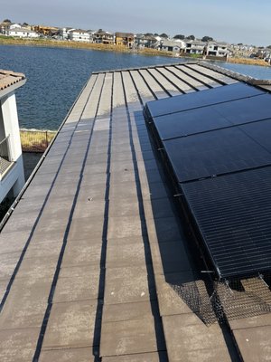 BIRD PROOF - Updated May 2024 - 69 Photos & 35 Reviews - 2194 Mozart ...